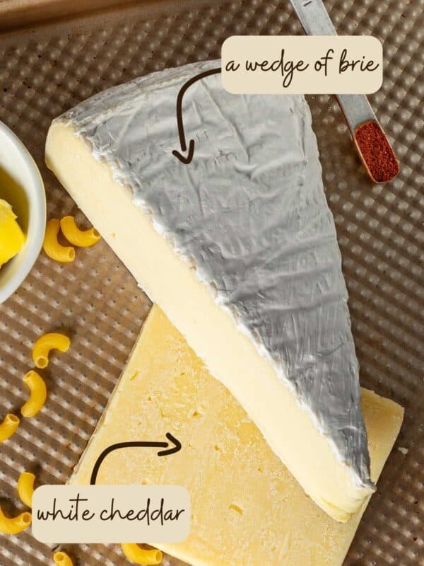 Creamy Brie Mac and Cheese - Lauren from Scratch